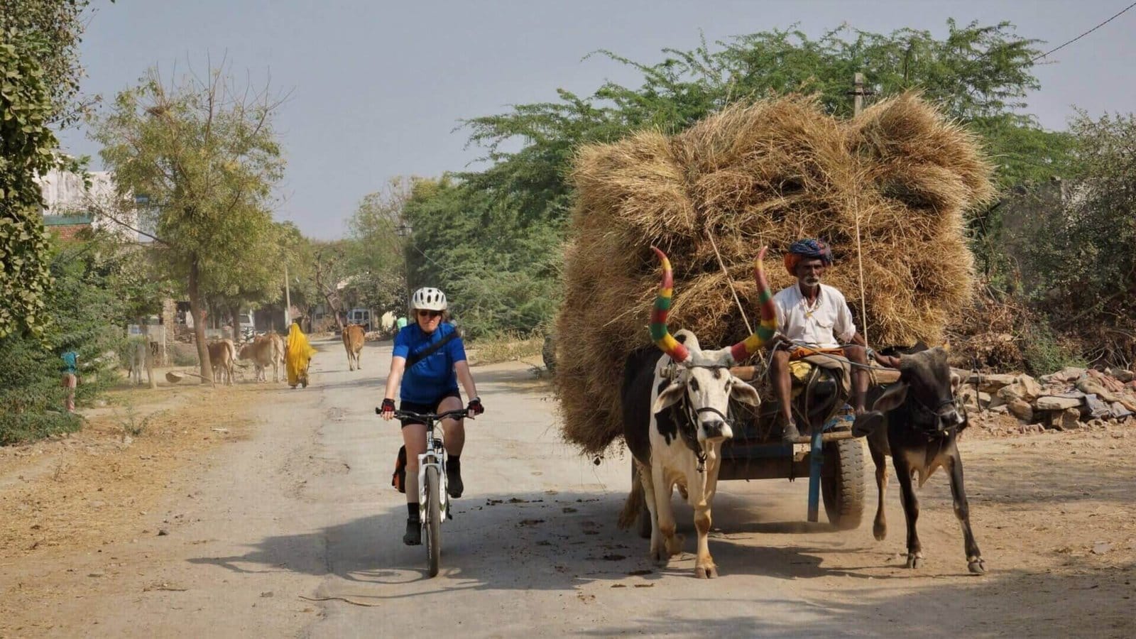 Best of India Cycling Holiday | North to South (22 Days)